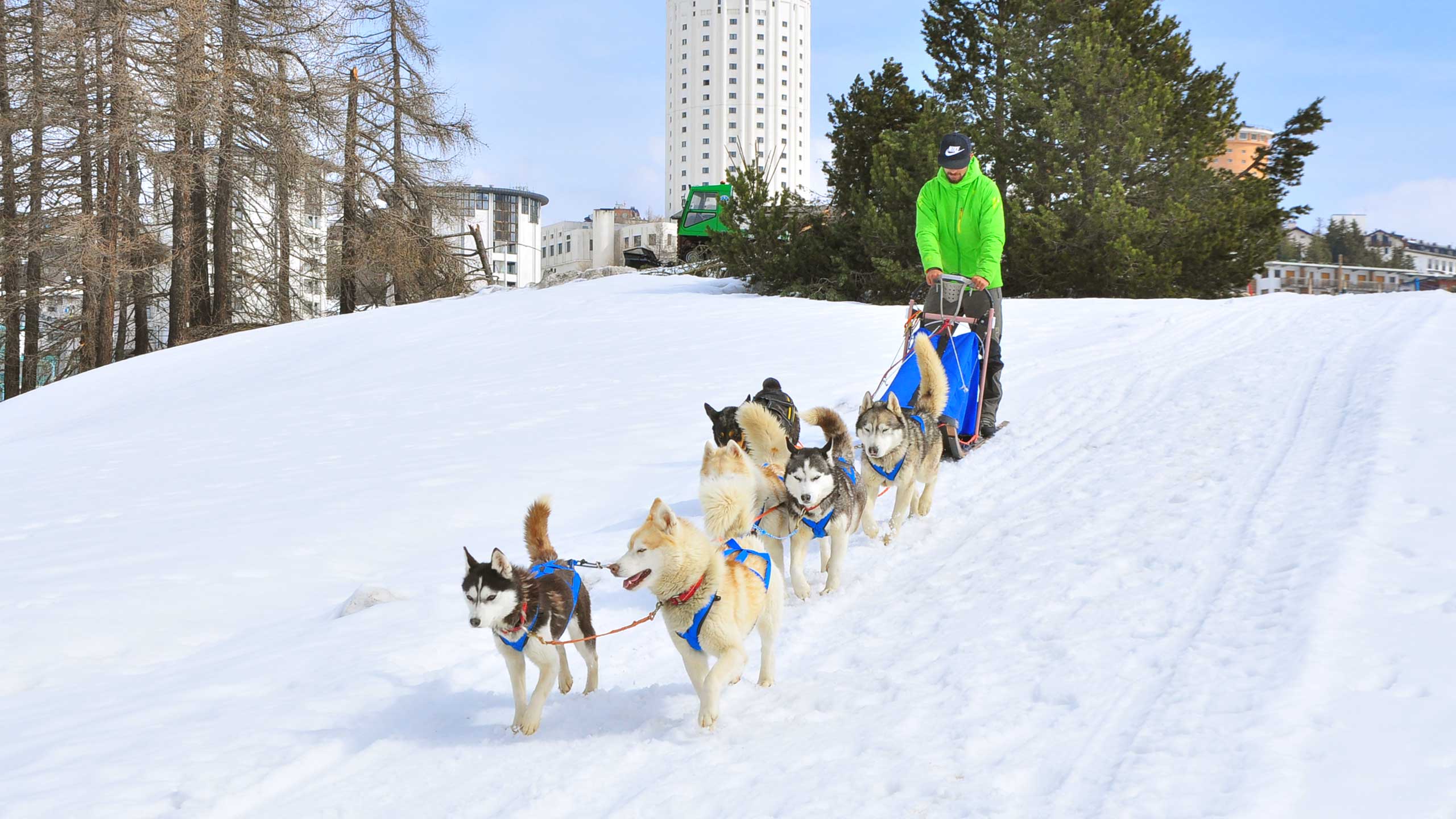 The Husky Experience | Excursions en traîneau à chiens et beaucoup d ...