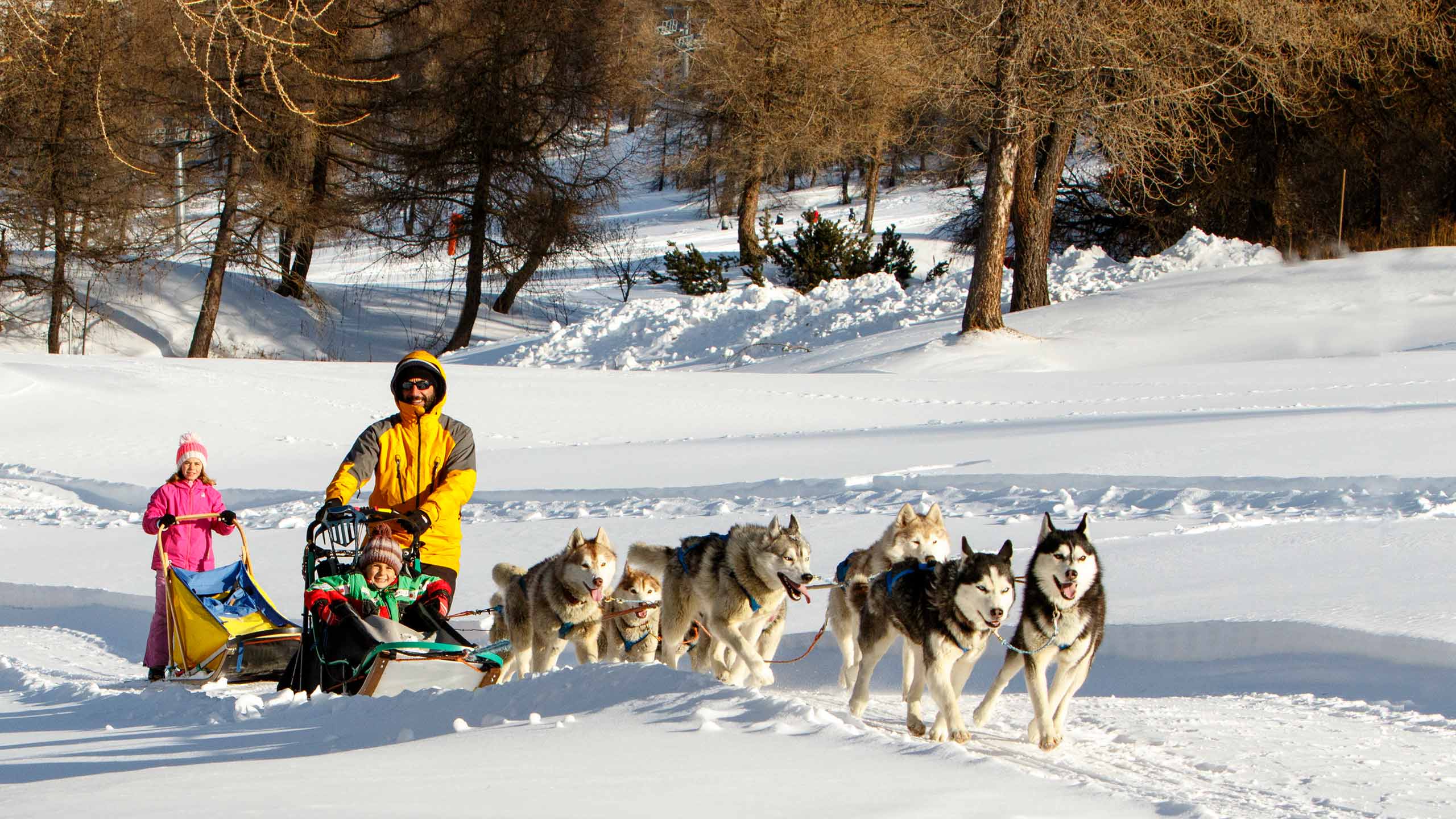 The Husky Experience | Dog sledding excursions and lots of adventure!