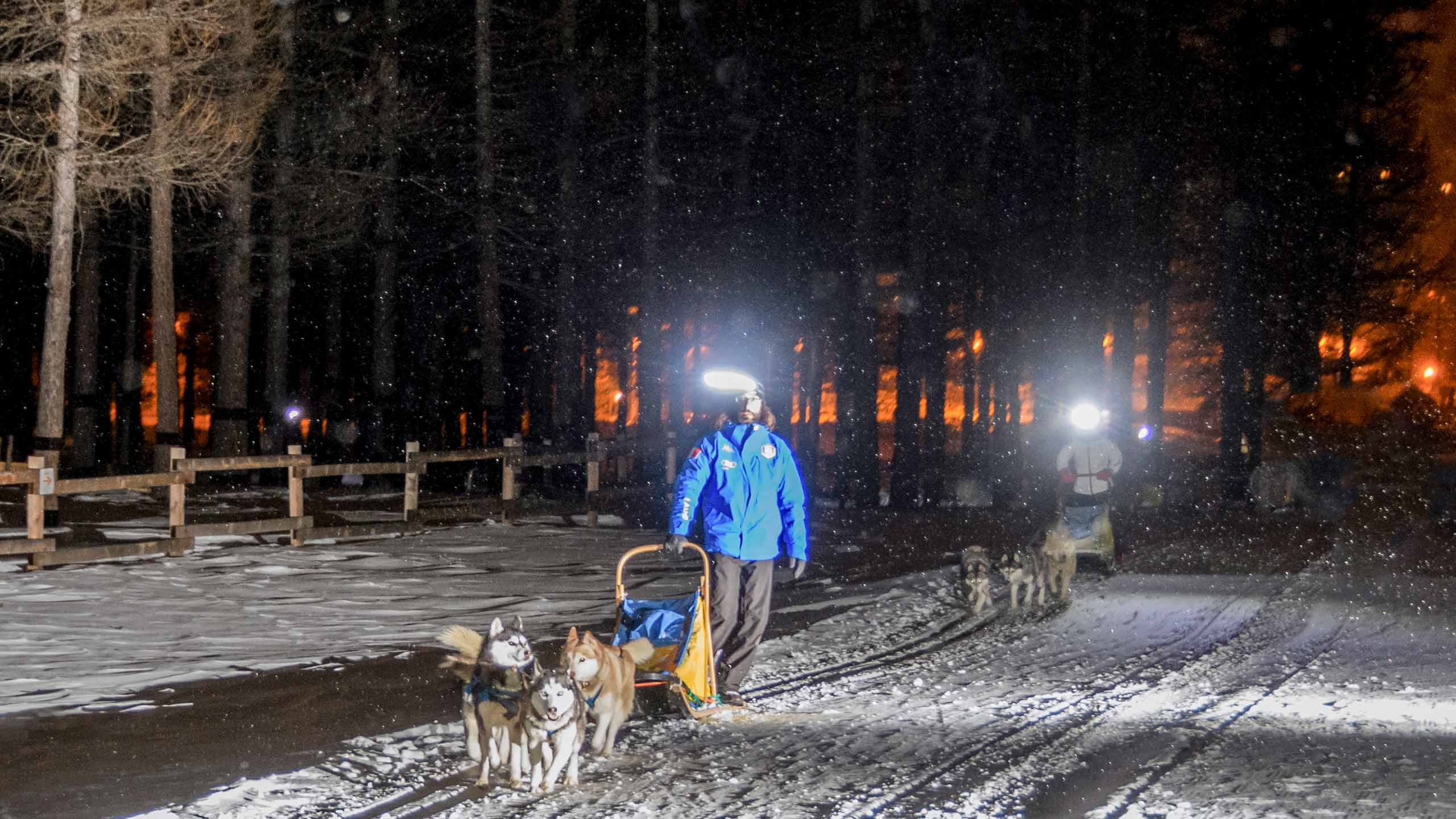 The Husky Experience | Dog sledding excursions and lots of adventure!